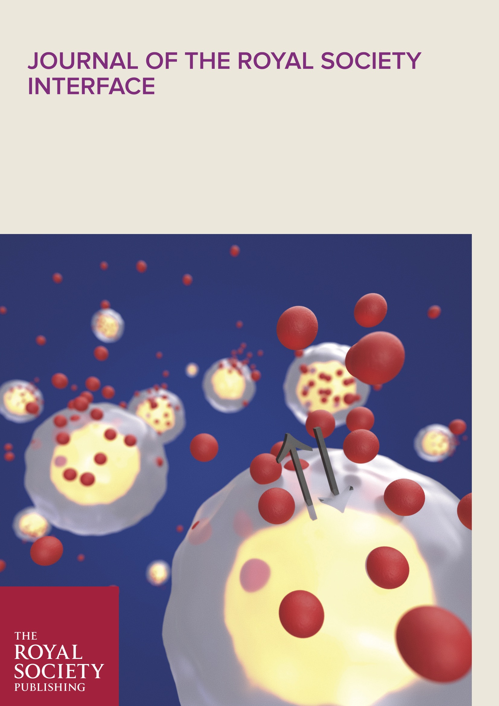 Identifying cell-to-cell variability in internalisation using flow ...